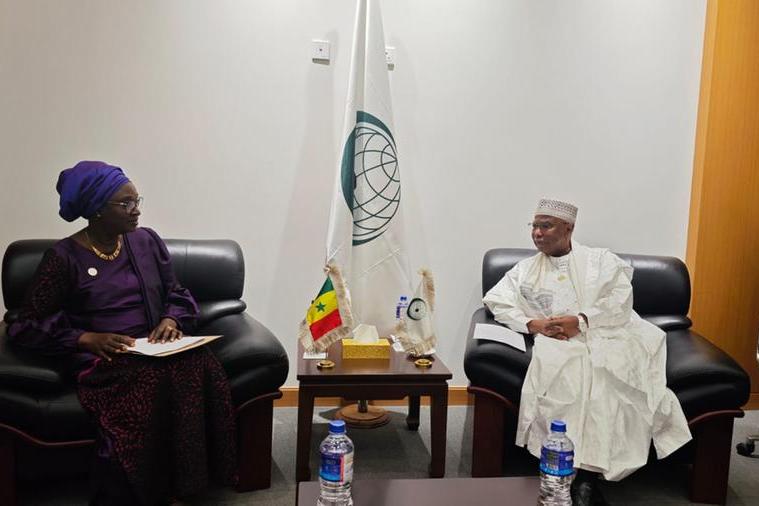 OIC Secretary-General meets with the Minister of African Integration ...