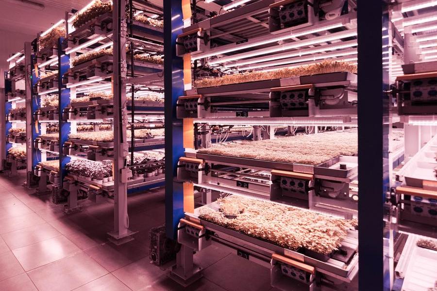 Green Corp takes a stake in Badia Farms to expand sustainable food ...