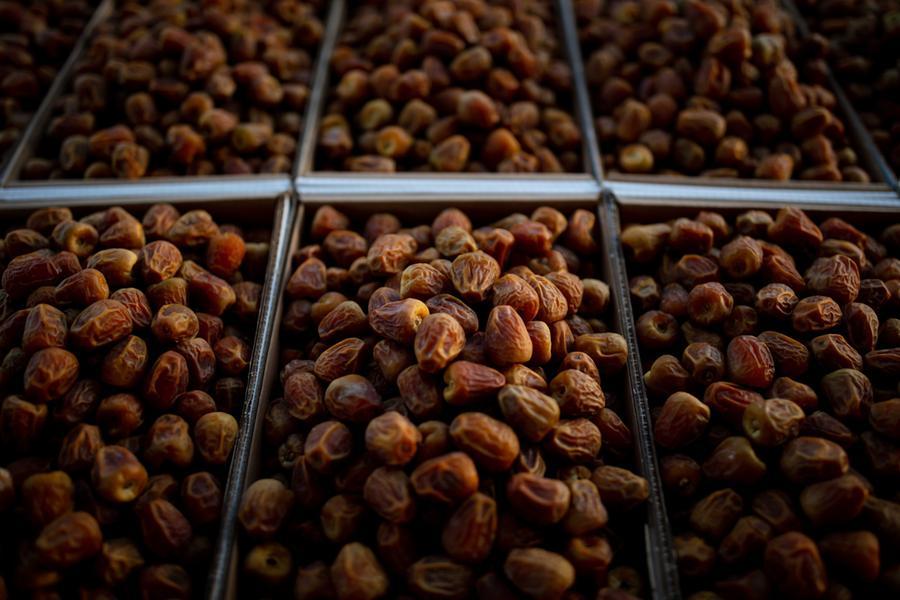 Saudi date exports surge across key markets with gains of up to 67%
