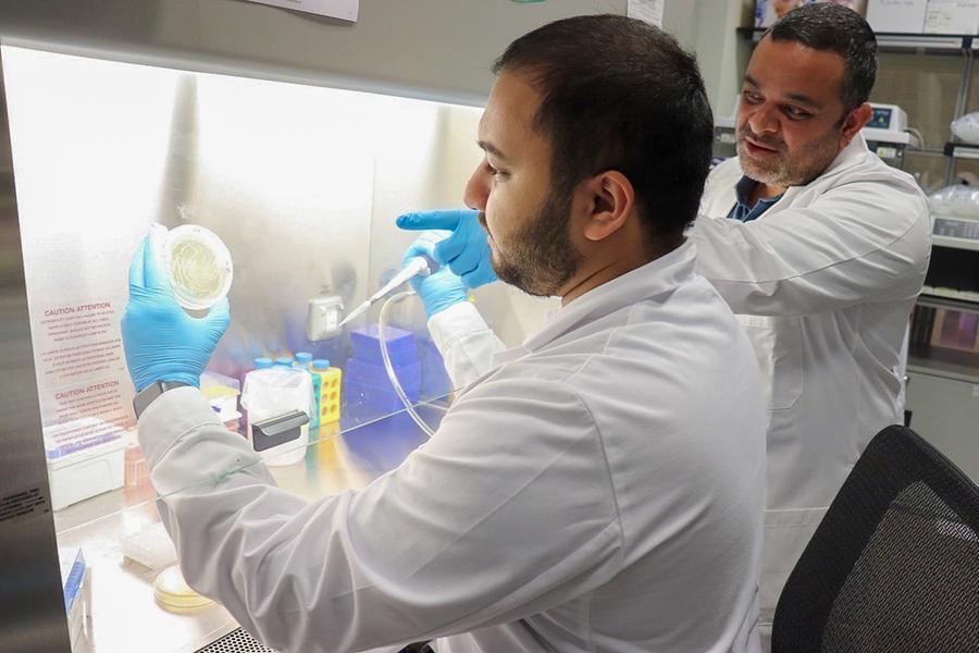 NYU Abu Dhabi researchers reveal on association between mouth bacteria ...