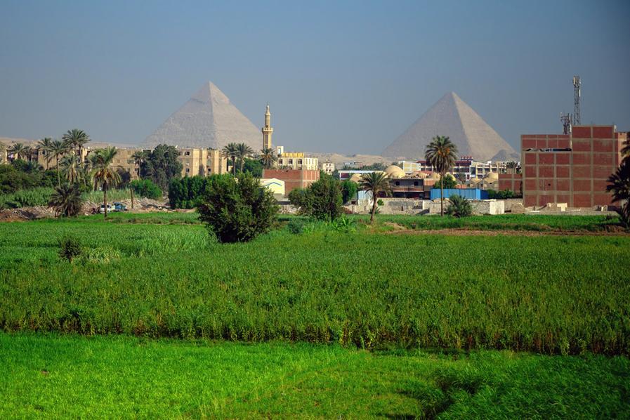 BASF Agricultural Solutions has Babouih as country manager for Egypt ...