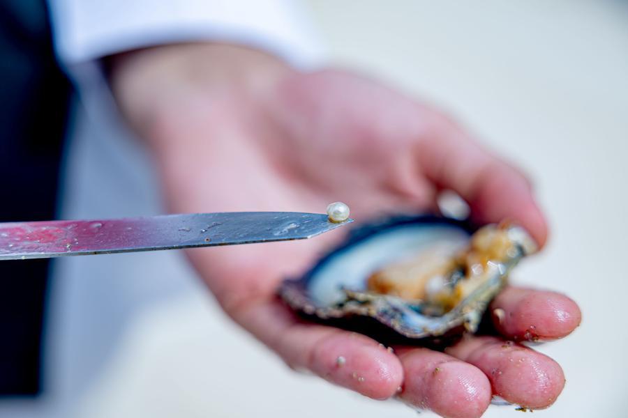 EAD launches first project in Gulf to survey, evaluate, restore ...