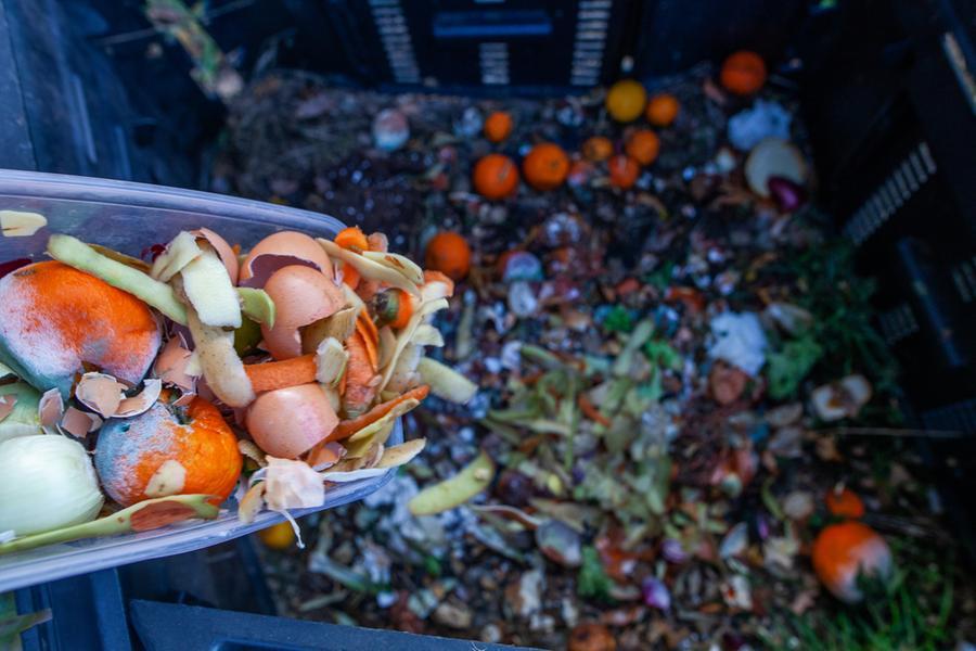 Saudi Arabia brings down food waste index to 16%