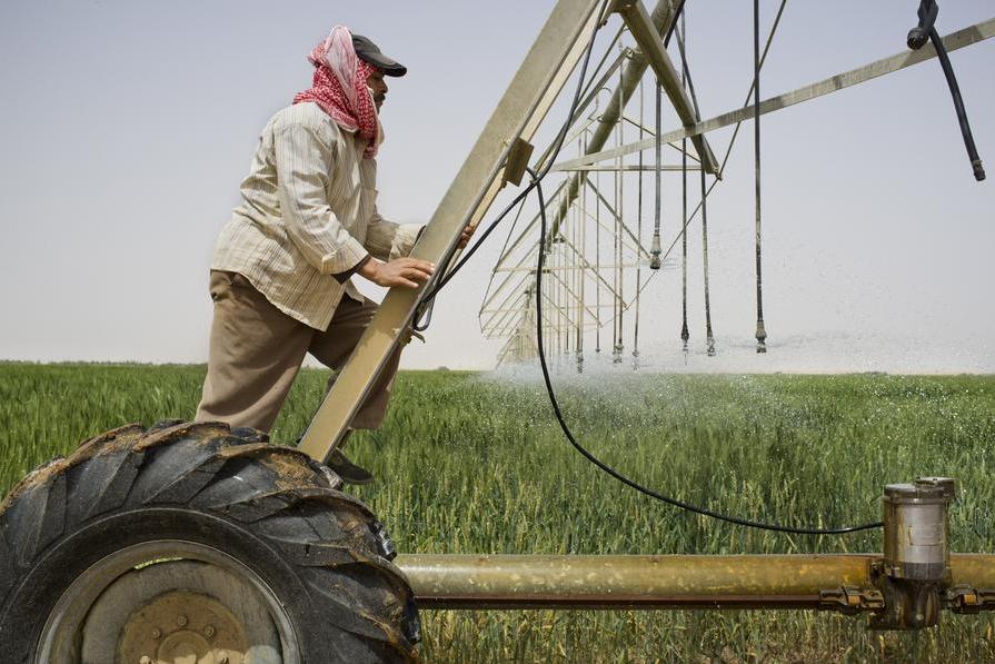 Egypt: MOPCO joins Al Dahra in first river shipment of fertilizers for ...