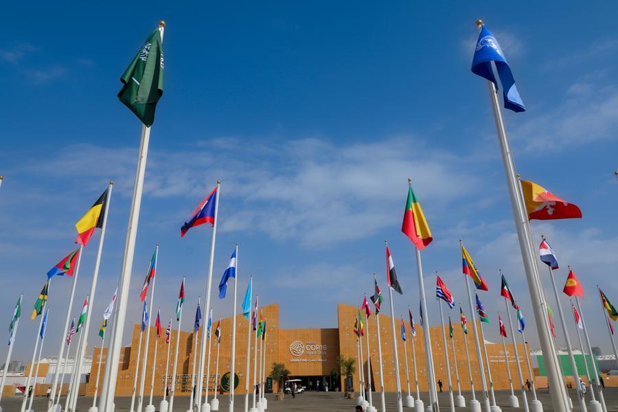 SGI Talks start today in the Saudi Green Initiative pavilion in the ...