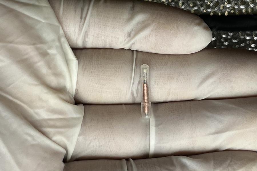 NYU Abu Dhabi Researchers develop wireless light pill to control gut ...