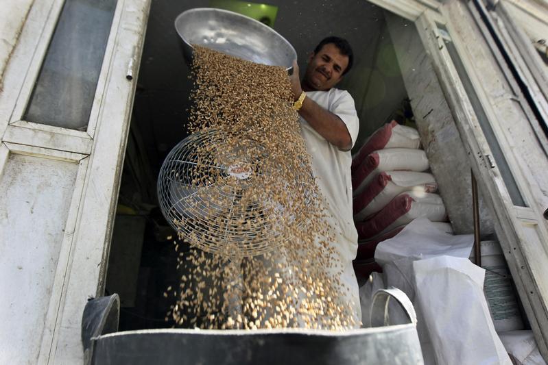 Saudi Arabia's SAGO buys 725,000 tonnes hard wheat