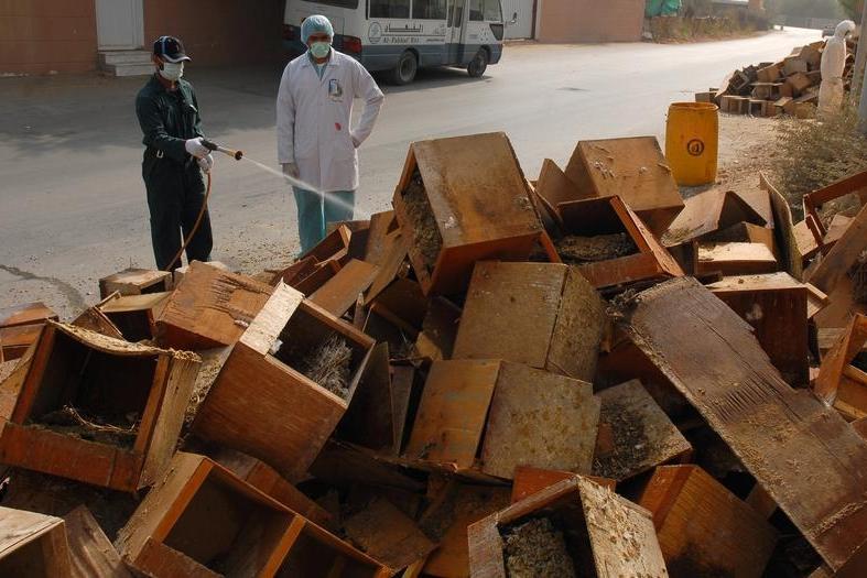 Deal signed to reduce food waste in Saudi Arabia