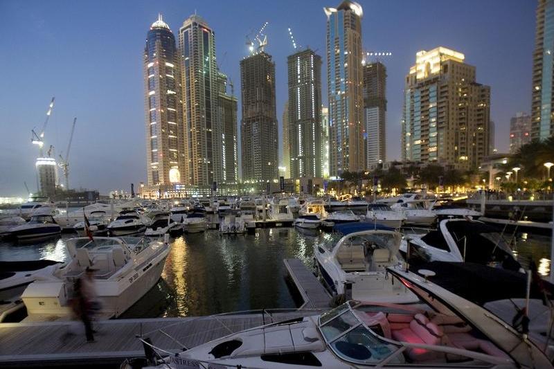 UAE's Emirates Reit 2016 numbers lifted by rental income