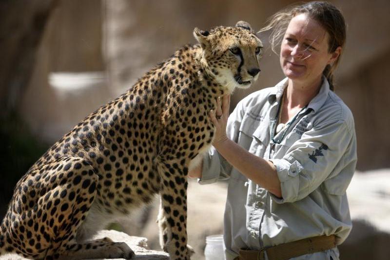 FNC passes draft law banning exotic animal ownership