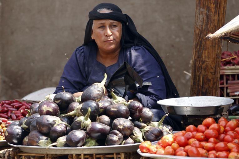 950 companies, associations in Egypt provide microfinance through 2,818 ...