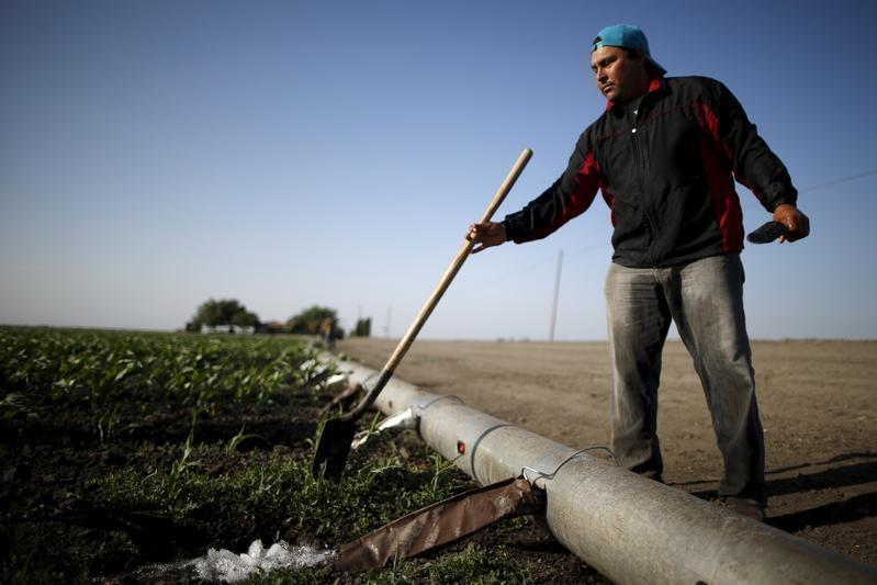 U.S. farm debt soars to levels seen during 1980s farm crisis ...