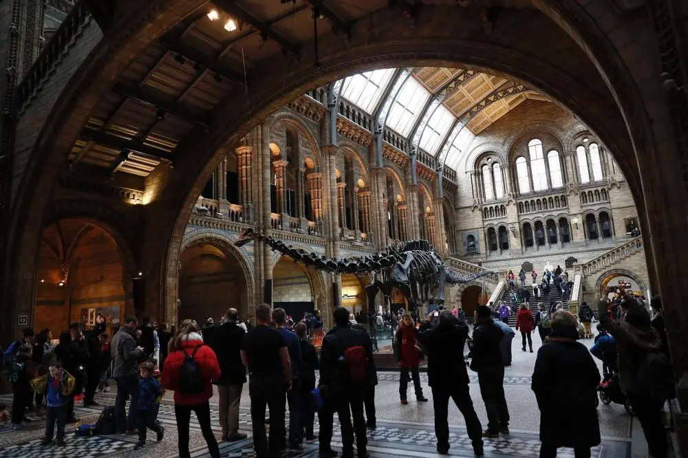 London museum bids farewell to Dippy the dinosaur