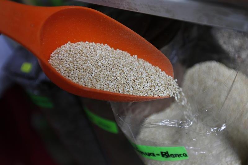 Genetic study may make ancient Inca's quinoa a grain of the future