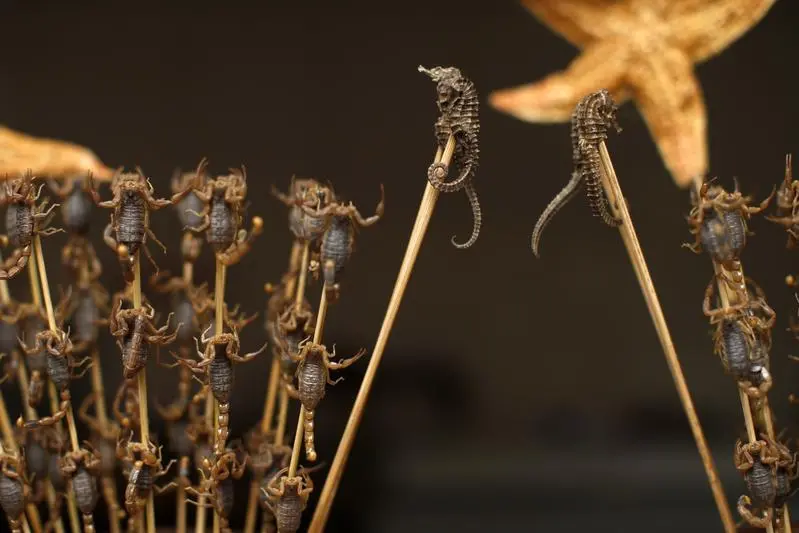 Scientists develop scorpion 'milking machine' for disease research