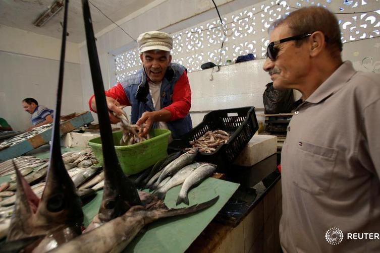 From camels to catfish, Algeria boosts fish farming in the Sahara desert