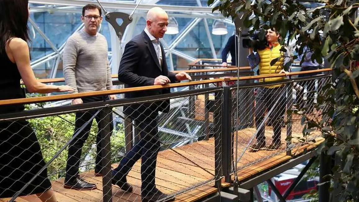 Sparking new ideas: Amazon opens ‘rainforest’ office