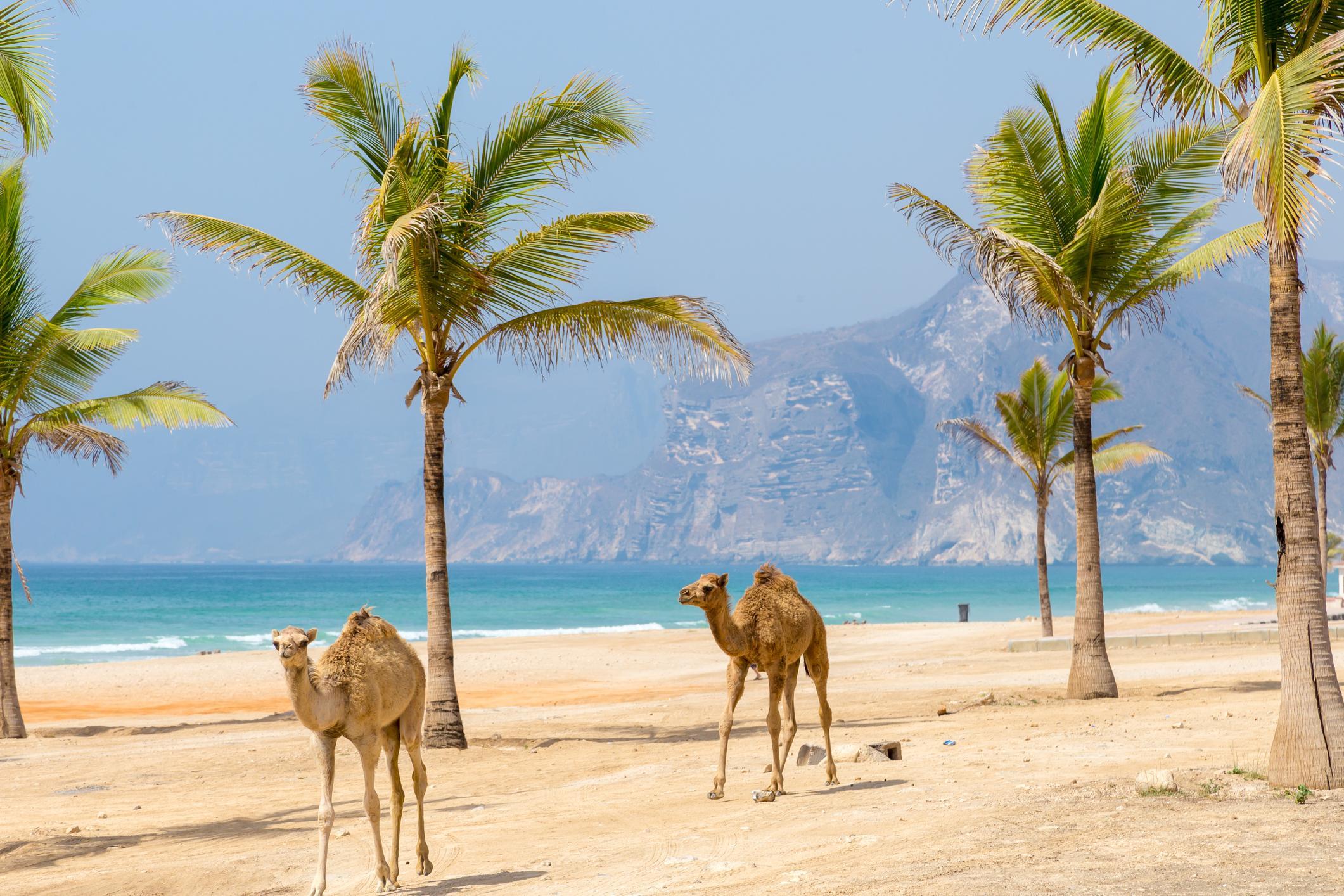 14 integrated projects to give Oman's tourism quantum leap