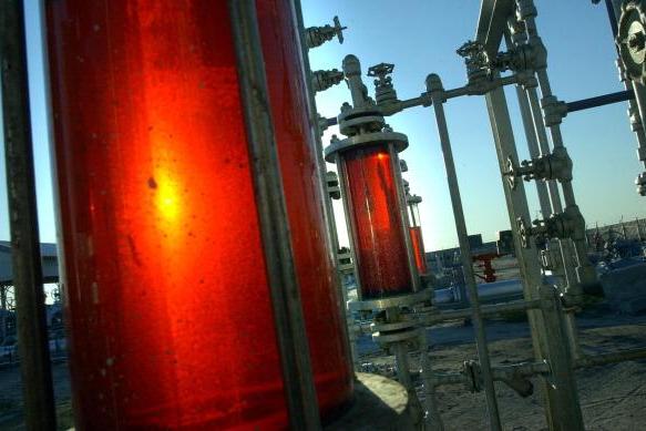 Kuwait, Saudi Arabian partners mull Partitioned Zone operations