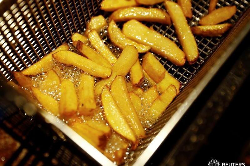 Farm Frites Egypt opens new potato processing factory