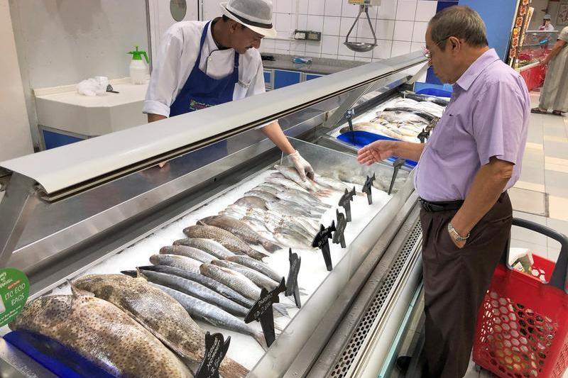 Investment plan to boost fish farming in Bahrain