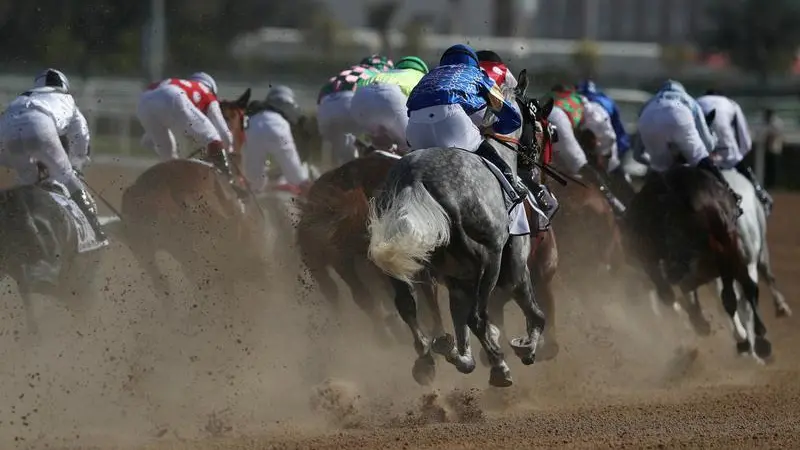 Horse Racing - Dubai World Cup