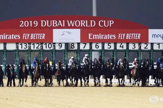 Horse Racing - Dubai World Cup