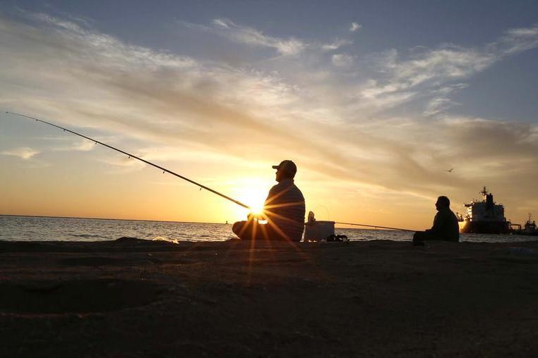 Saudi Arabia highlights its efforts to develop fisheries sector