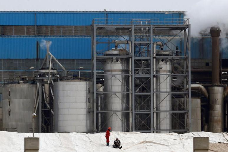 Egypt's Canal Sugar will start production in 2021 - chief executive