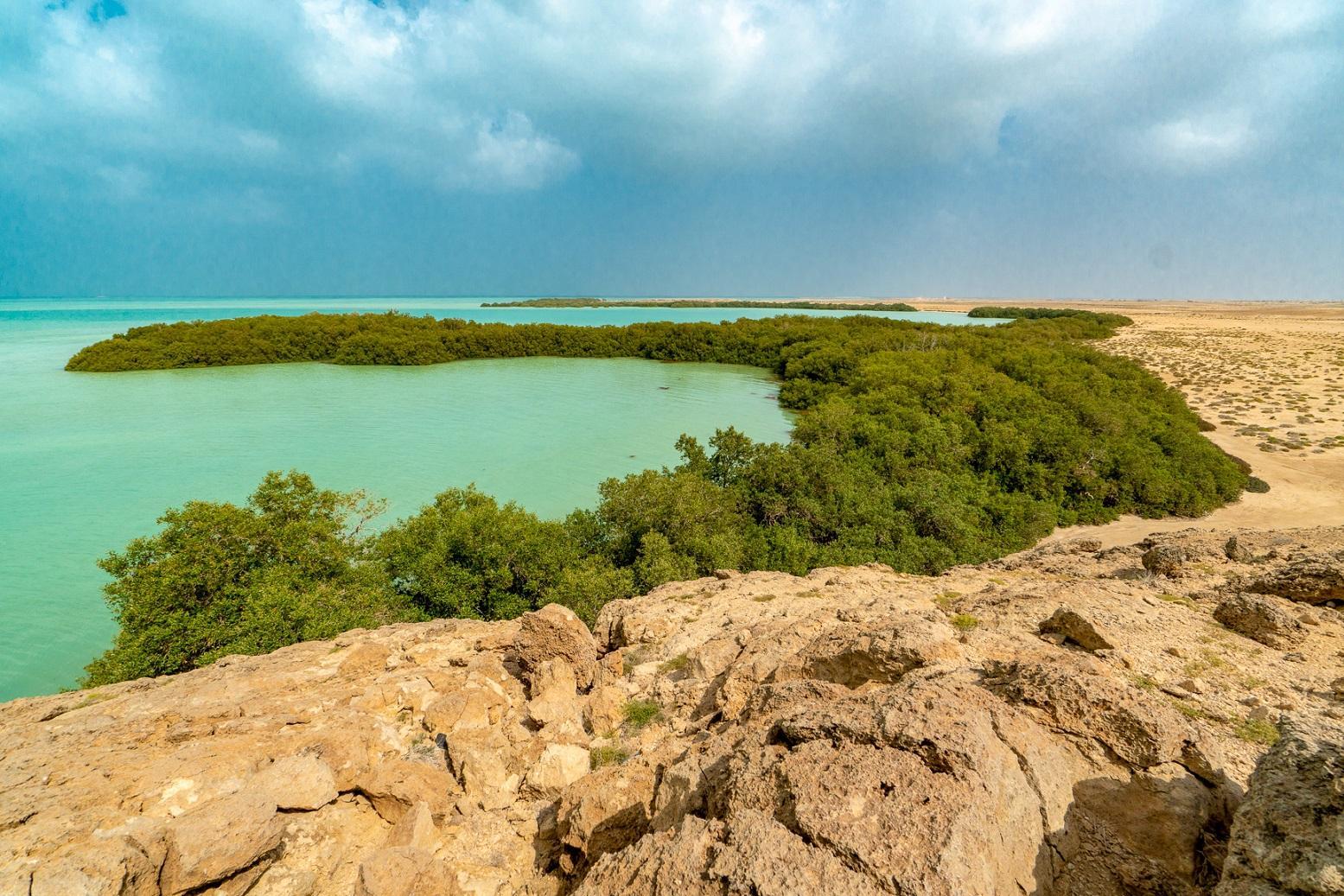 INTERVIEW: Saudi Arabias Red Sea project to set new global standards in ...