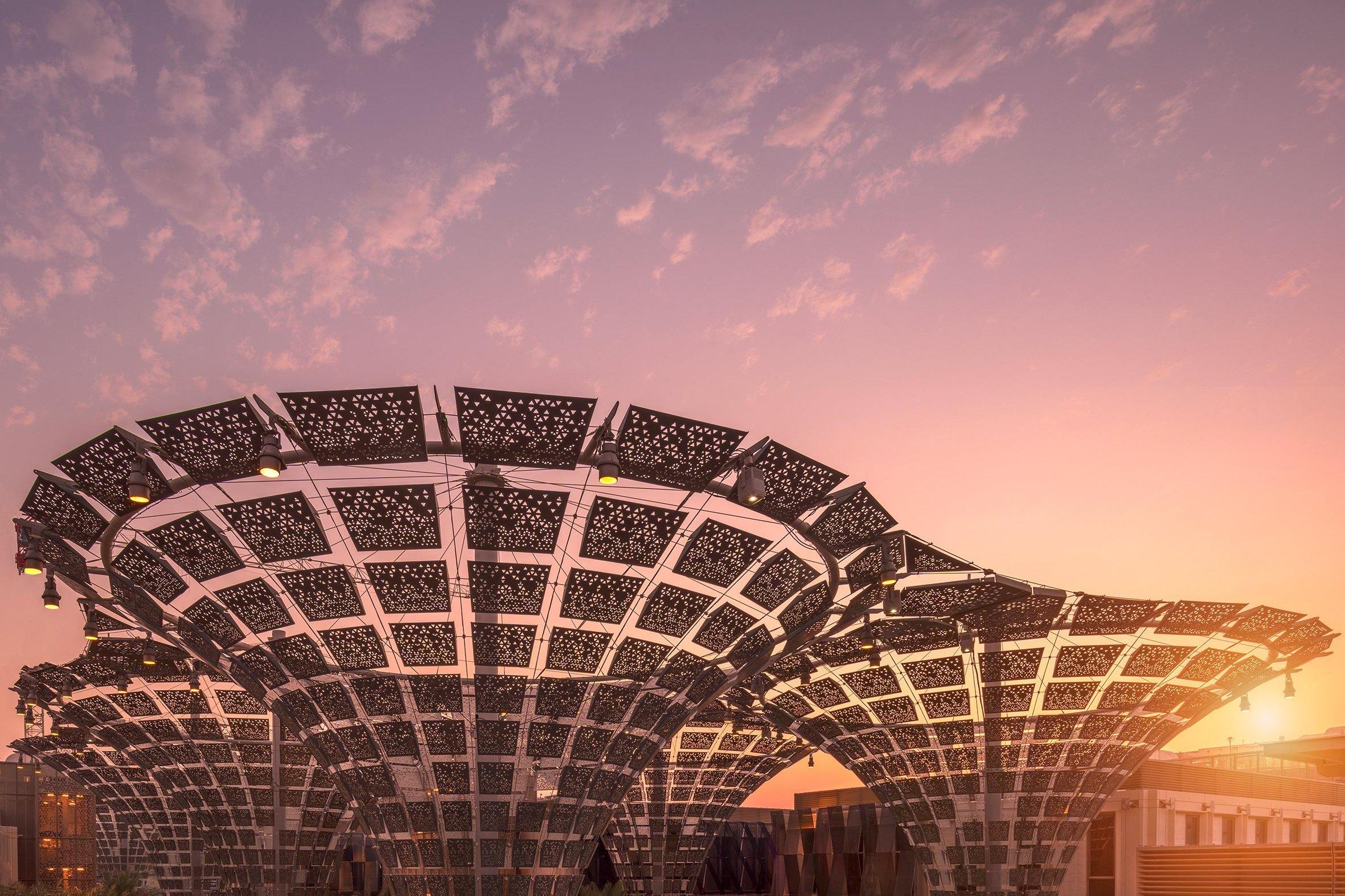 Eucalyptus tree planted at Expo 2020 as symbol of 'resilient' UAE ...