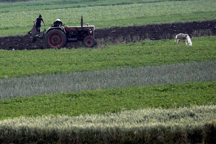Egypt's Obour Land reveals updates on $16.23mln Obour Farm
