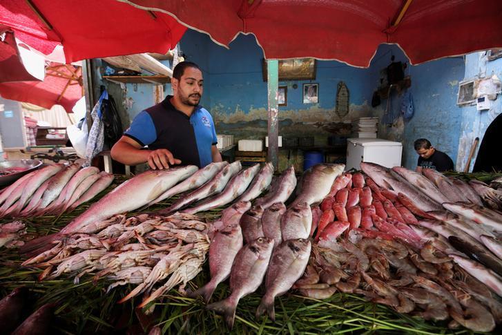 Egypt approves Alexandria fish market development project