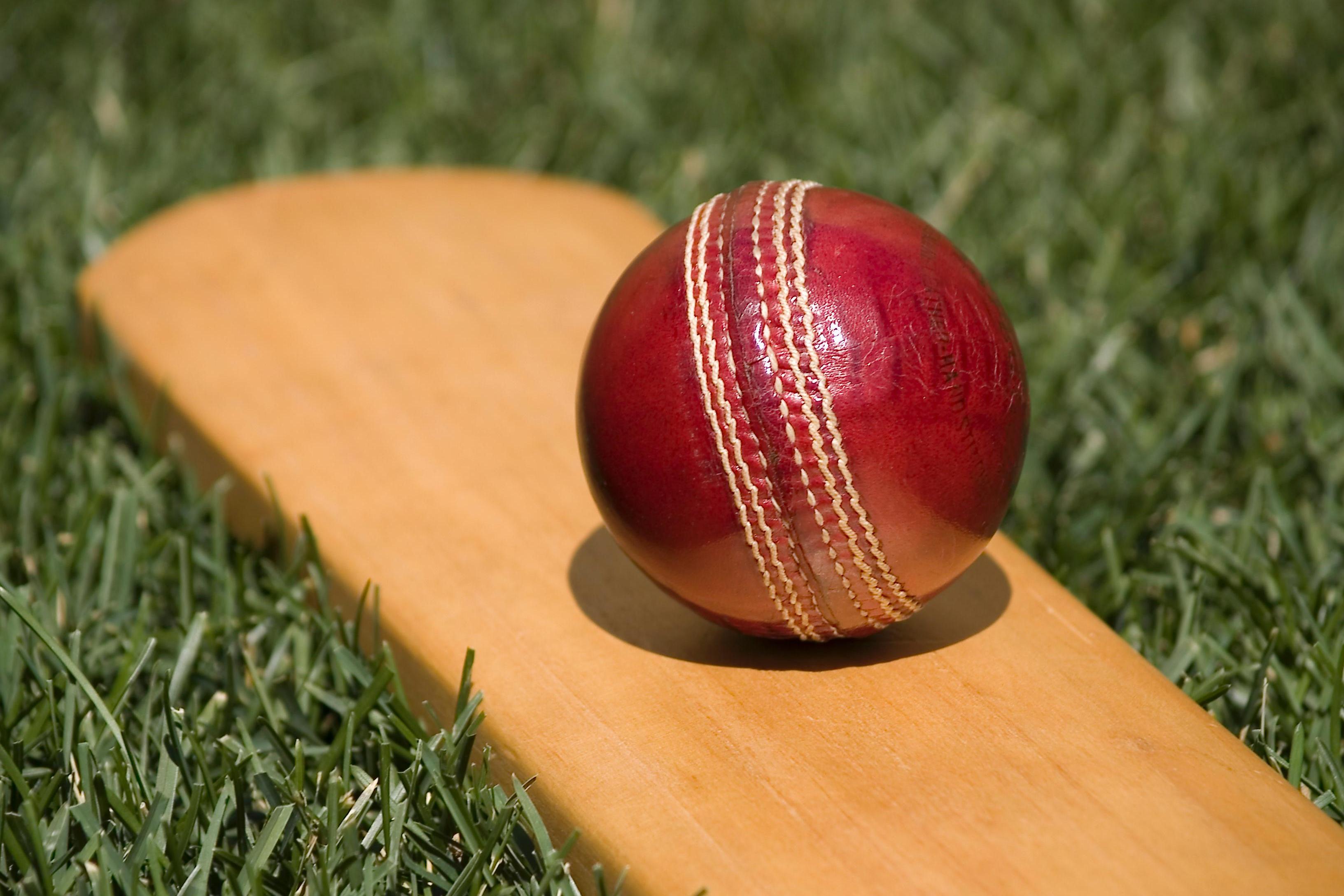 Exclusive: IPL 2020 could inspire Emirati women to play cricket