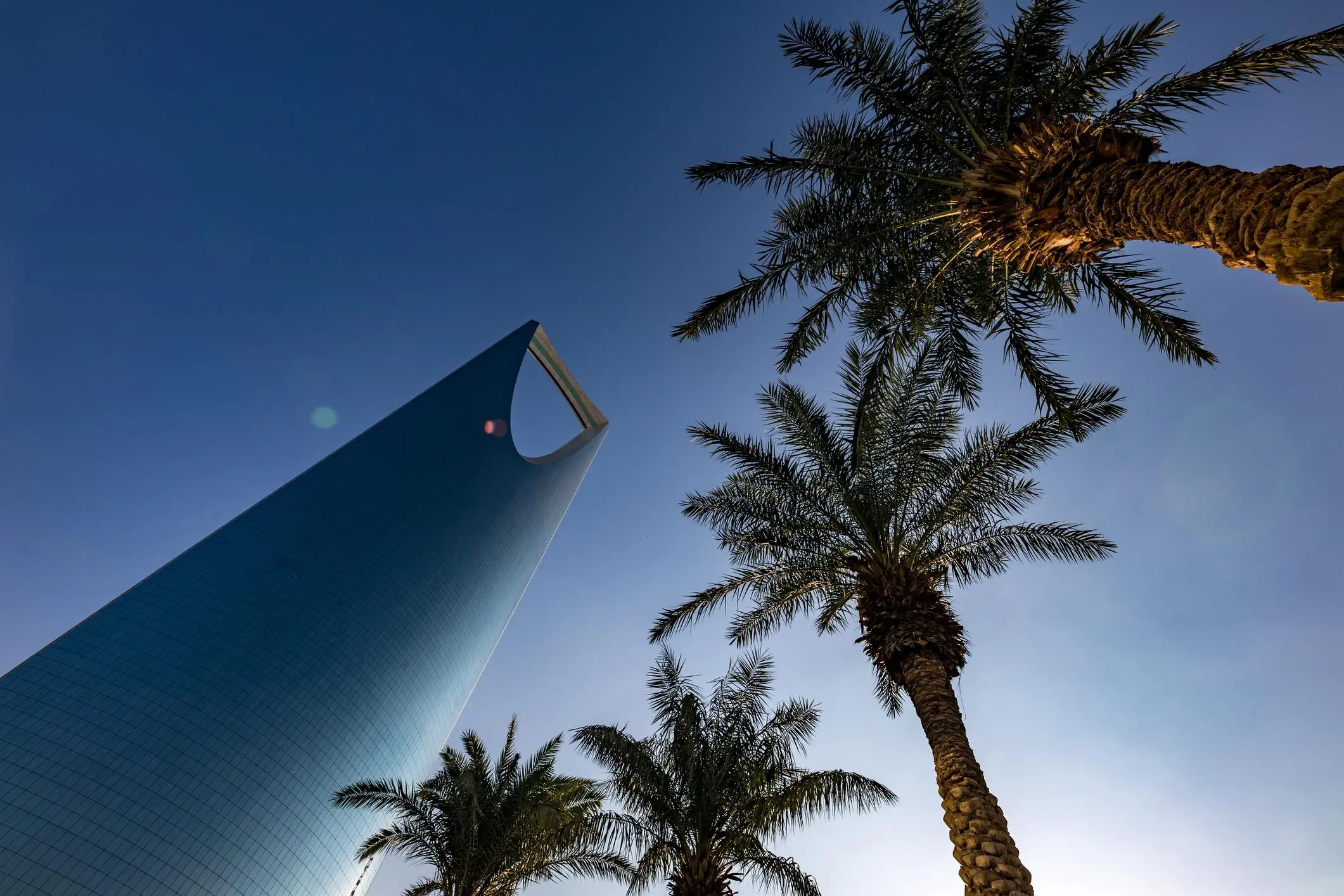 Saudi's CEDA highlights efforts to bolster social protection programs