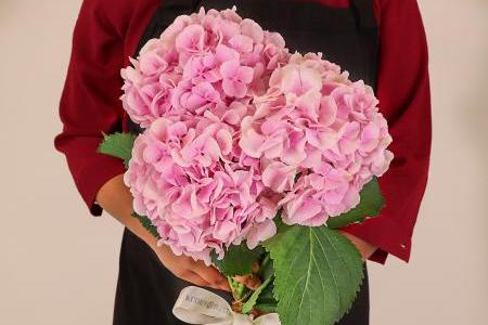 Flora D'lite opens deliveries in Sohar area