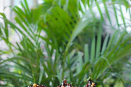 Open Flame Kitchen leads the way in Dubai's experiential dining scene