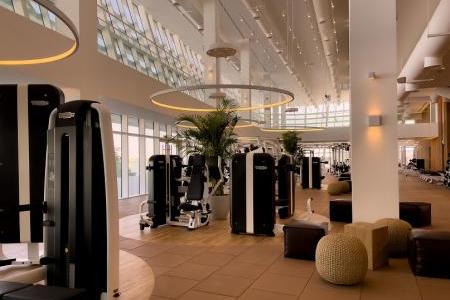Symbiotic synergy of innovation and wellness: The Bridge Lifestyle Hub ...